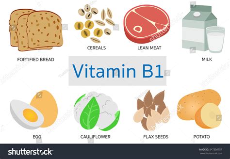Vitamin B1 Food Sources On White Vector De Stock Libre De Regalías