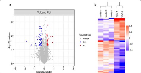 Tmt Quantitative Proteomic Analysis Of Differentially Expressed