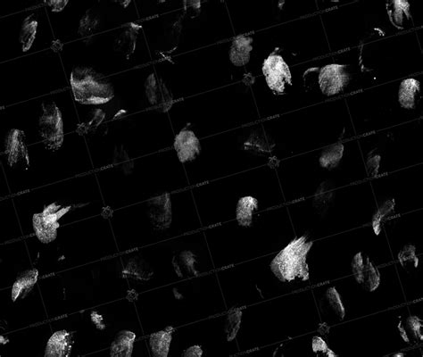 Surface Imperfections 28 Productioncrate