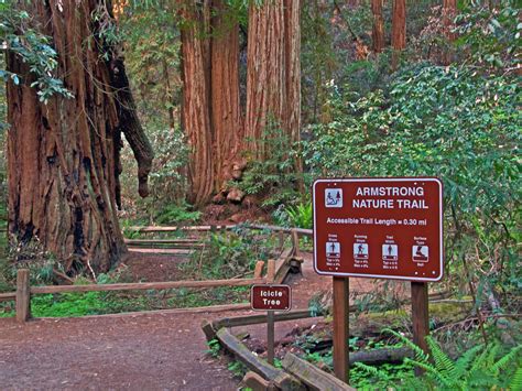 Guerneville Sonoma County Tourism