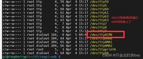树莓派和stm32通过usb通信stm32如果正确获取树莓派serial库发过来的信息 Csdn博客