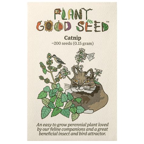plant good seed catnip seed packet organic seeds mint perennial grow
