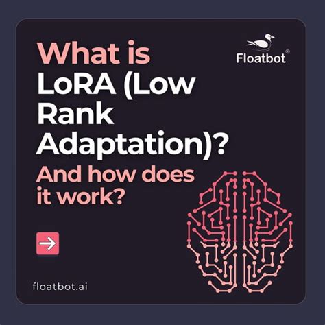 what is lora low rank adaptation pdf