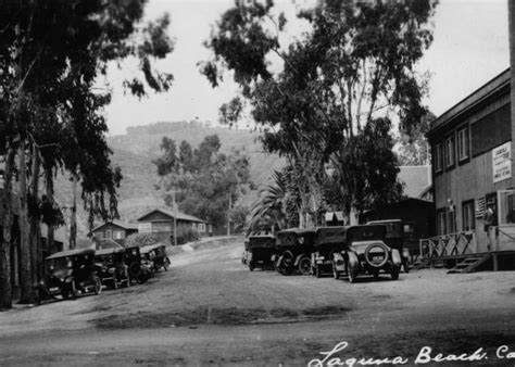 Trees Of Forest Avenue Visit Laguna Beach