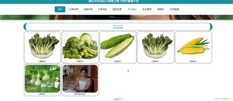 Java计算机毕业设计海东市乐都区沙果线上线下销售管理平台（附源码、数据库）线下销售平台 Csdn博客