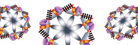 Nlrp3 The Best Inflammasome Sensor