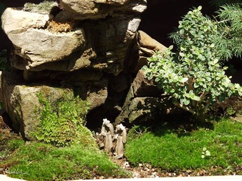 Coco Pit For Rooftop Garden R Gardening