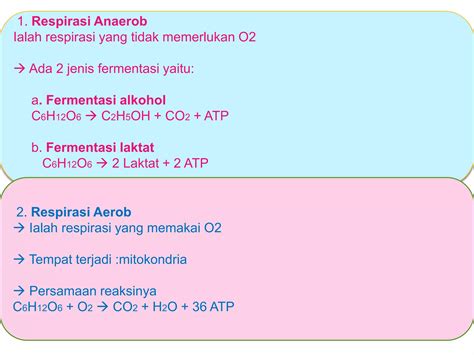 Presentasi Sistem Pernapasan Pptx