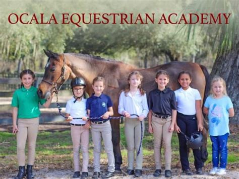 Ocala Equestrian Academy - Horse Connection Ocala