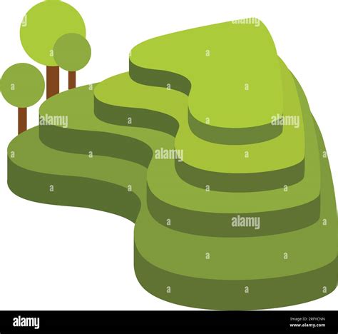 Rice Field Green Grass Cut Out Stock Images And Pictures Alamy