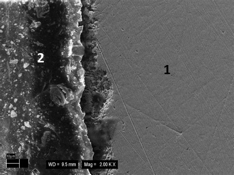 Cross Section Of Copper After Corrosion Test In Cacl 2 •6h 2 O