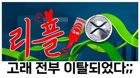 리플 고래 전부 이탈 ㅈ졌네 이거 Youtube