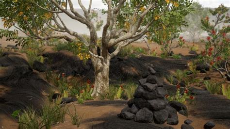 Jared Sobotta On Linkedin Lava Flow Regrow Iris Fryer