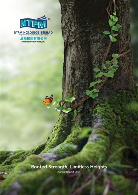 My Investor Relations Ntpm