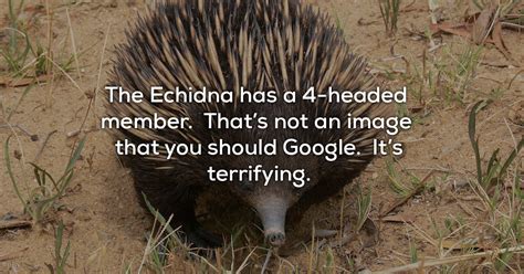 Sex And Relationships