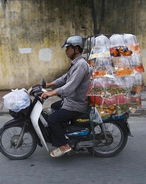 Double Motorcycle Motorbike With Basket Moped Travel Ideas Bikes
