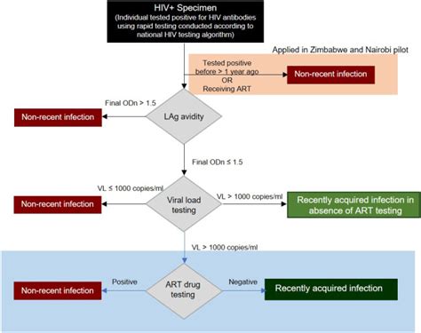 Can Hiv Recent Infection Surveillance Help Us Better Understand Where