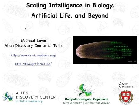 “scaling Intelligence In Biology Artificial Life And Beyond” By