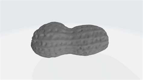 Peanut Model Turbosquid 1891918