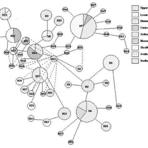 Minimum Spanning Network Depicting Relationships Among L Aurea Download Scientific Diagram
