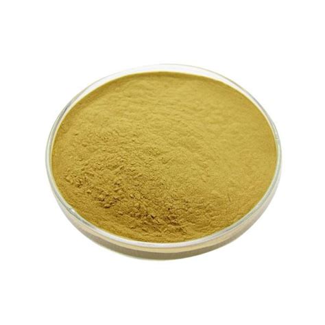 China Customized Andrographis Paniculata Extract Powder Manufacturers