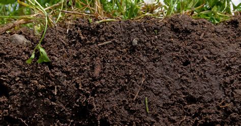 PhD thesis defence Keli Li: Soil memory effects | Netherlands Institute ...