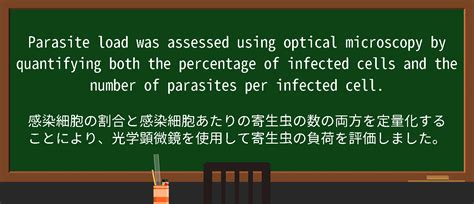 【英単語】optical Microscopyを徹底解説！意味、使い方、例文、読み方 おもしろい英文法