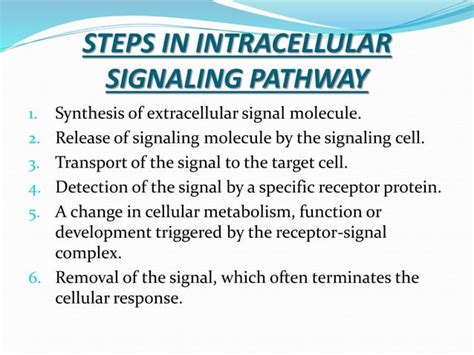 Intercellular And Intracellular Cell Signaling Pathway Pptx