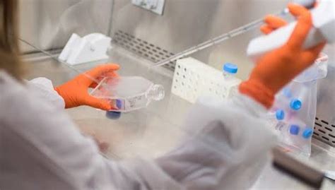 Exotoxin Producing Bacteria Everything Microbiology