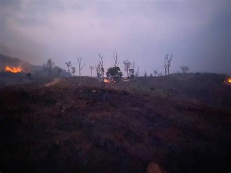 ကရင်ပြည်နယ်၊ ဝေါလေနယ်ရှိ Knla Pdf စခန်းတစ်ခုအား နယ်မြေရှင်းလင်းရေးစစ်ကြောင်းက ရှင်းလင်းဖယ်ရှား