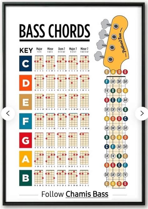 Pin By Paulo Mattiuzzo On Instrumentos In 2025 Learn Bass Guitar