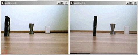 Stereoscopic Images A Left Camera Image Bright Camera Image