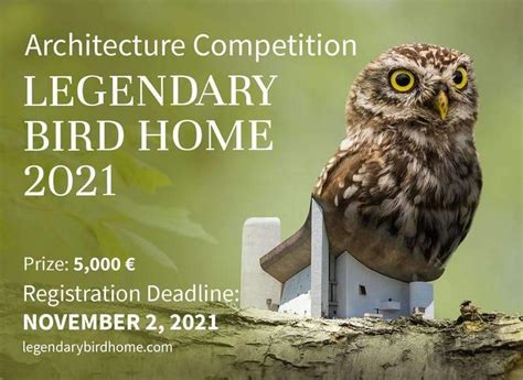 Design A Bird Home To Fund Wildlife Charities The Legendary Bird Home