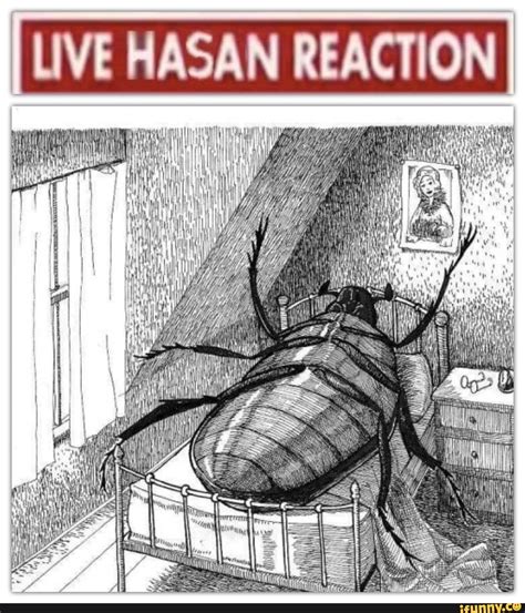 Live Hasan Reaction Is Ifunny Brazil