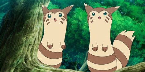 Pokemon Furret Space 💫 On X My New Furret Plush Is Finished She