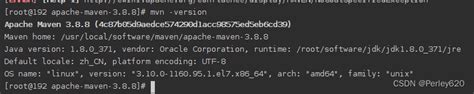 linux安装git和maven——拉取代码 ＞ mvn打包成jar包 ＞运行jar包 linux服务器mvn打包 csdn博客