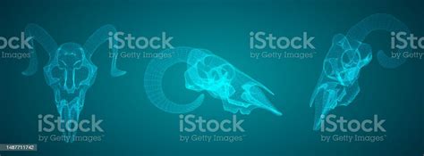 Vector Ram Skull 3d Image Of Segments Stock Illustration Download
