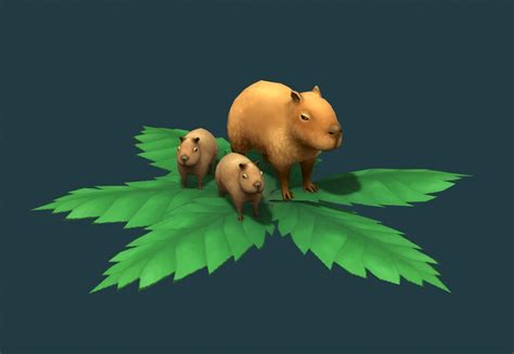 Flutter Vr Behance Behance