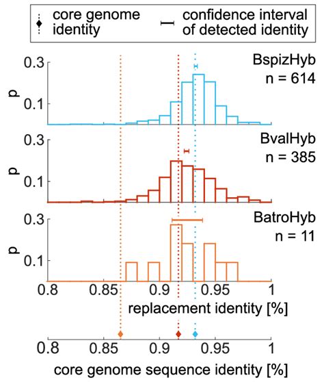 Replaced Segments Have A Higher Identity Than The Average Core Genome