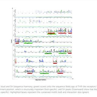 Mutation Analysis Graphs A Graph Shows The Count Of Mutation By Download Scientific Diagram