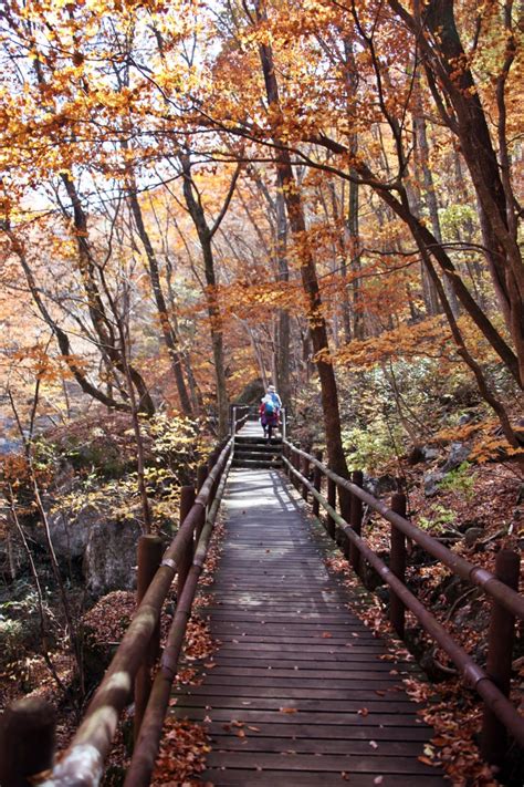 지리산 뱀사골 단풍 명소 힐링야영장 캠핑장 신선길 와운마을 천년송에서 단풍 구경하기 전북 남원 가볼만한곳 네이버 블로그