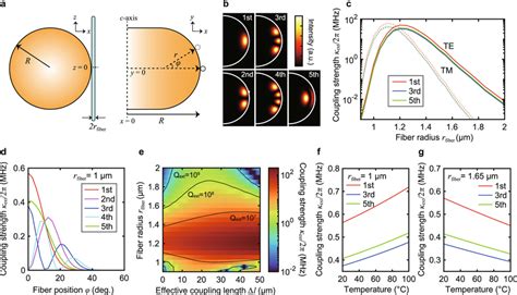Analysis Of The Coupling Strength In A Crystalline Mgf2 Microresonator