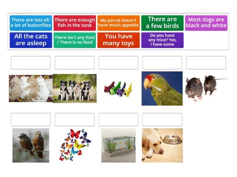 Quantifiers Match Up