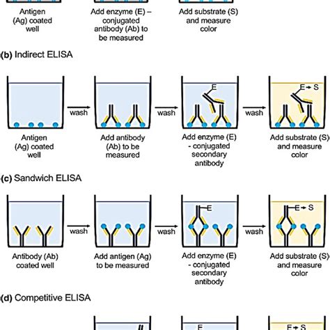The Multiplex Immunoassays A Planar Microarray Protein Chips And B