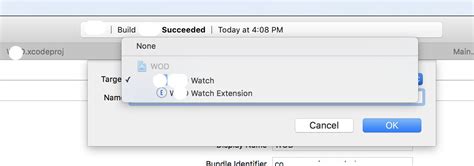 There Is No Ios Application In Xcode Target Stack Overflow