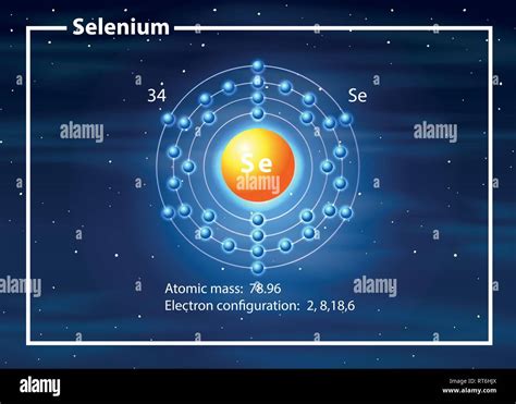 Selenium Atom Diagram Concept Illustration Stock Vector Image Art Alamy
