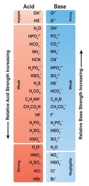 Acid Base Buffer Over 10 Royalty Free Licensable Stock Vectors And Vector Art Shutterstock Acid Base Buffer Over 10 Royalty Free Licensable Stock Vectors And Vector Art Shutterstock