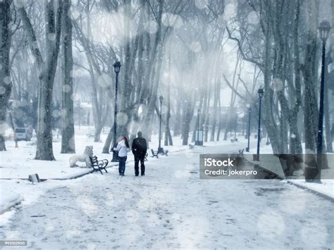 눈 덮인된 공원도로에 눈이 하는 동안 걷는 젊은 남자와 여 자가 부부 12월에 대한 스톡 사진 및 기타 이미지 12월 2명 거리 Istock