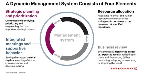 creating a dynamic management system built for speed bain and company