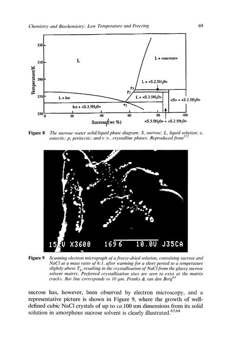 Phase Diagram Sucrose Water Big Chemical Encyclopedia